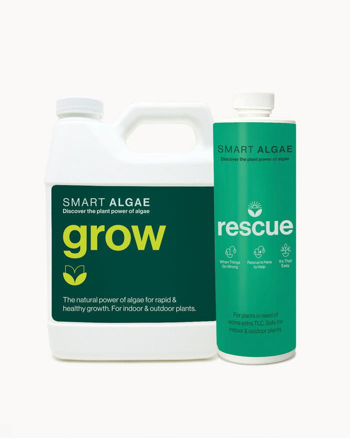 SmartAlgae Essential Package - Organic Grow Boost Combo – SmartAlgae ...