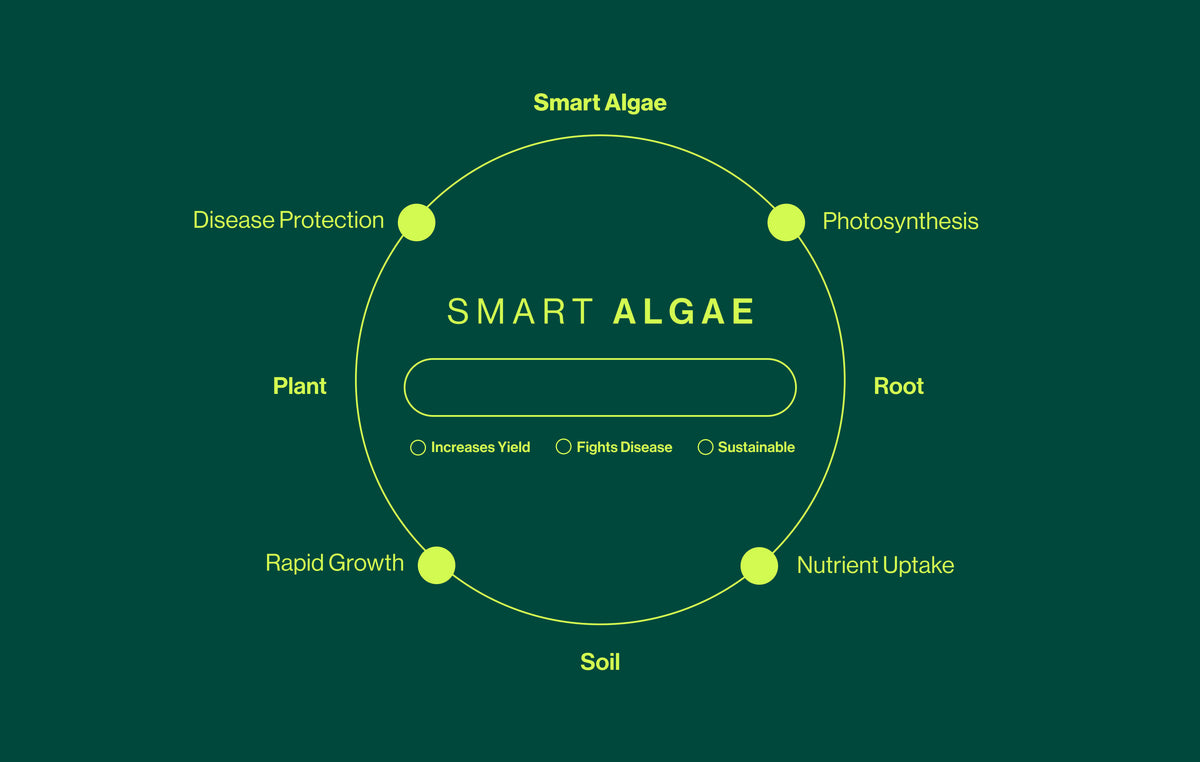 Why it Works! - SmartAlgae Solutions