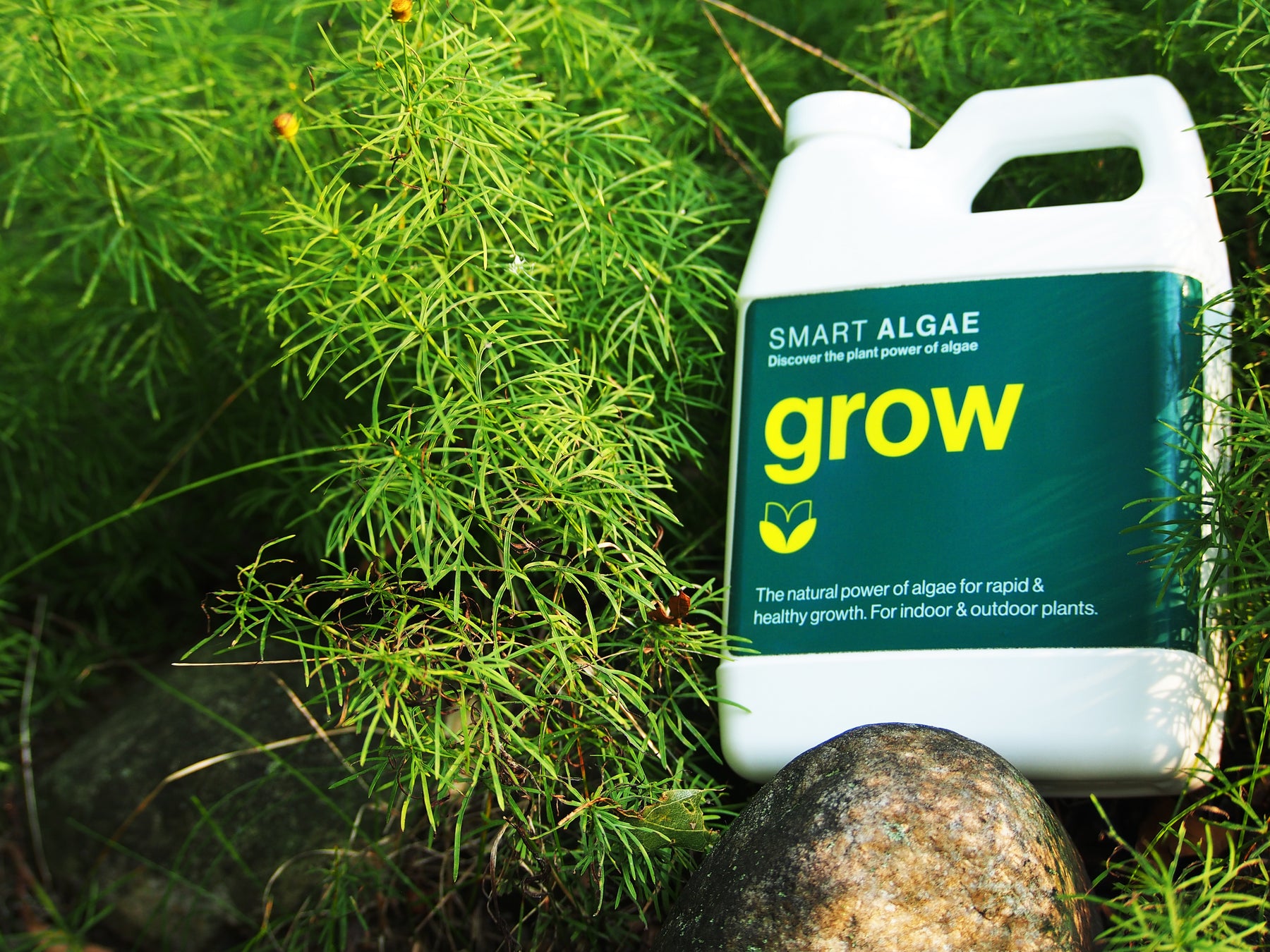 Microalgae Biostimulant for Plants - SmartAlgae Solutions