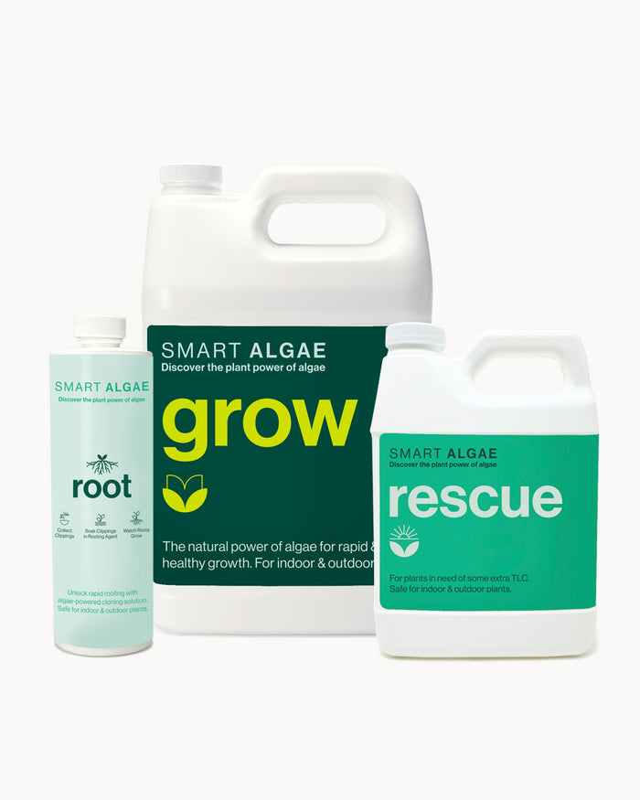 Smart Algae Professional Package - Full Plant Care System – SmartAlgae Solutions