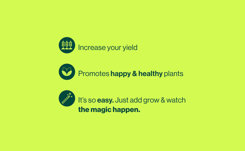 Microalgae Biostimulant for Plants - SmartAlgae Solutions