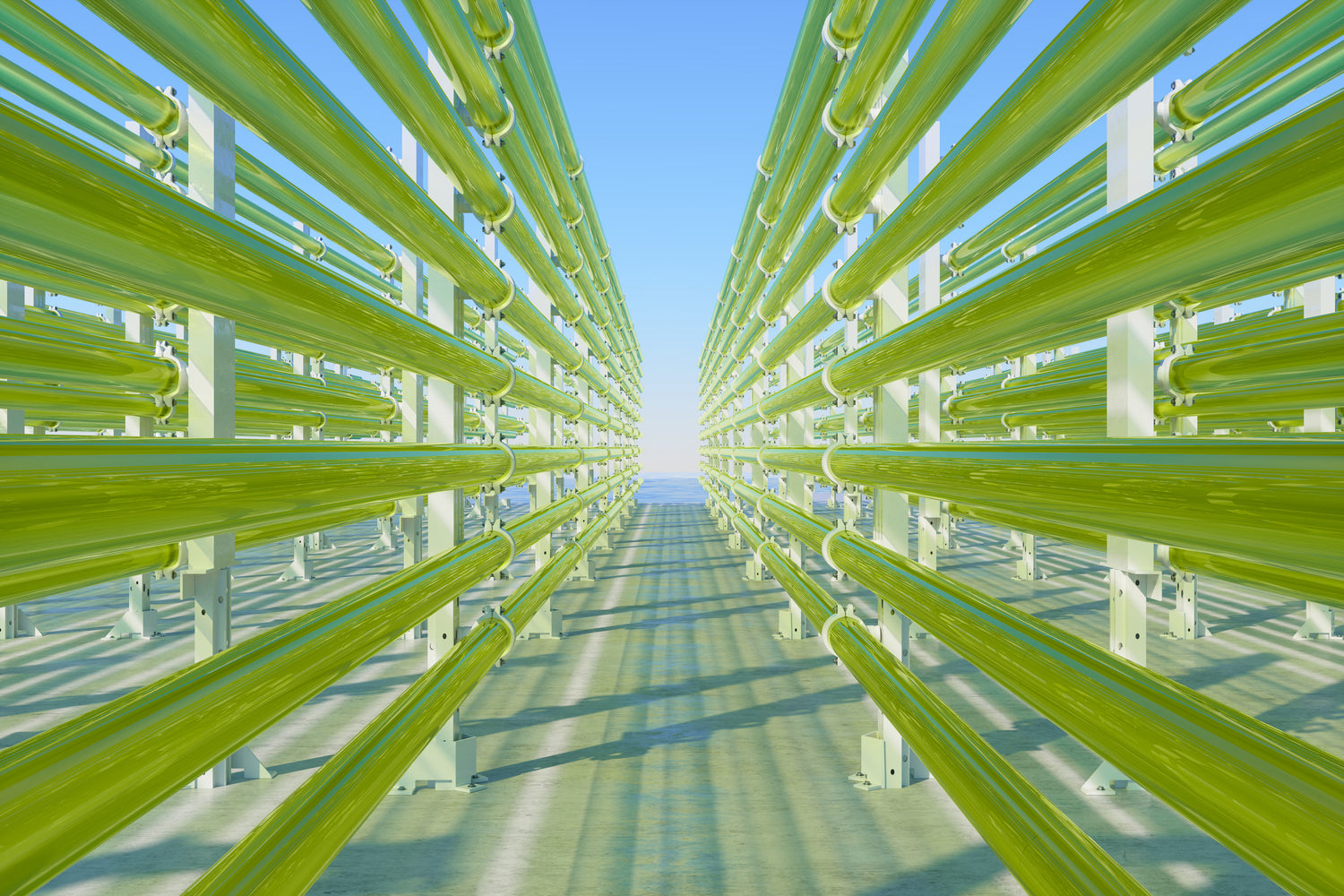 Microalgae Biostimulants for Cannabis – SmartAlgae Solutions